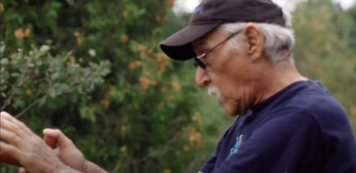 Manoomin: Food that Grows on the Water – LetsTalkLibrary