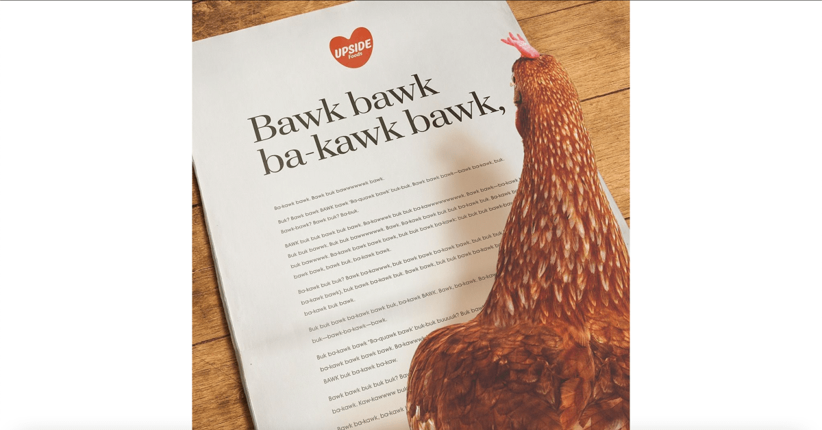 This Full Page Ad Was Written Entirely in Chicken – LetsTalkLibrary